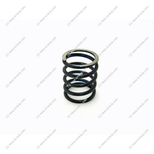 Water pump spring - Microlight & ulm and spare parts